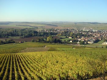 An introduction to Chablis and its vineyards